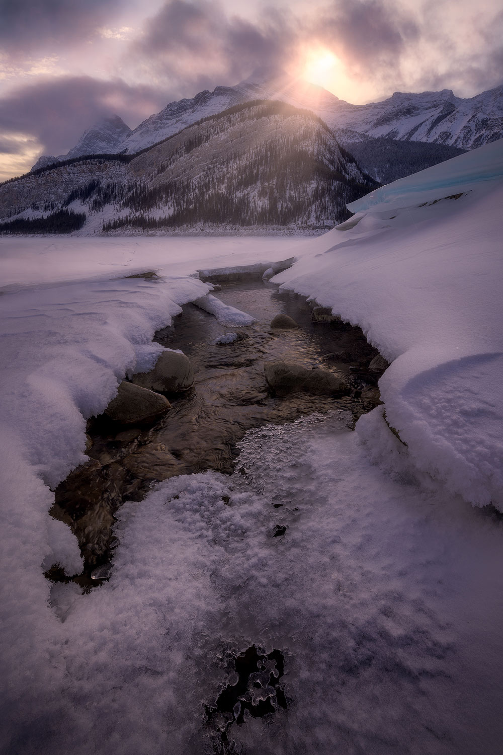 How To Play With Perspective? | DantyArt Photography